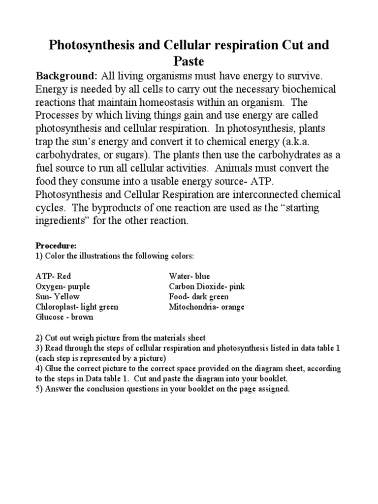 Photosynthesis and Cellular Respiration Cut and Paste | Download Free ...