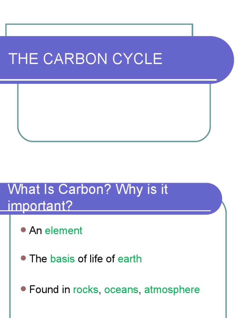 Understanding the Carbon Cycle | PDF | Carbon Cycle | Carbon