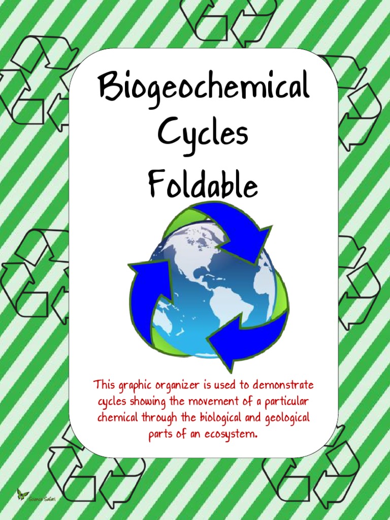 Biogeochemical Cycles Foldable Guide | PDF | Carbon Dioxide | Water Cycle