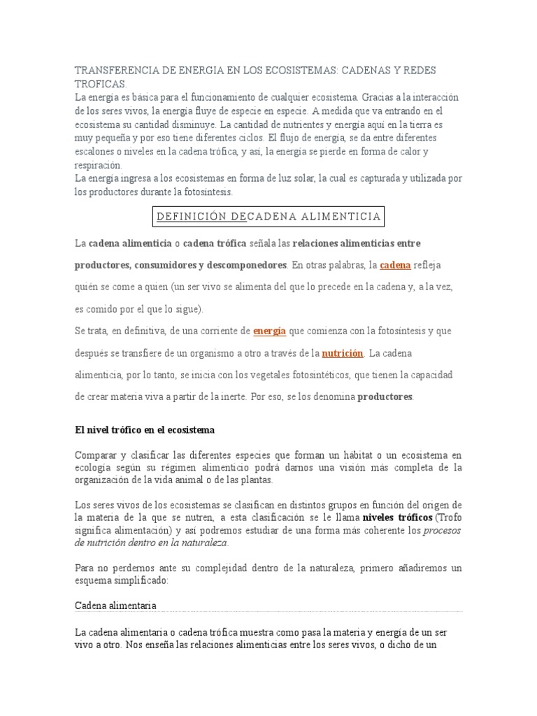 Hoja De Trabajo Sobre Transferencia De Energía En Los Ecosistemas LA