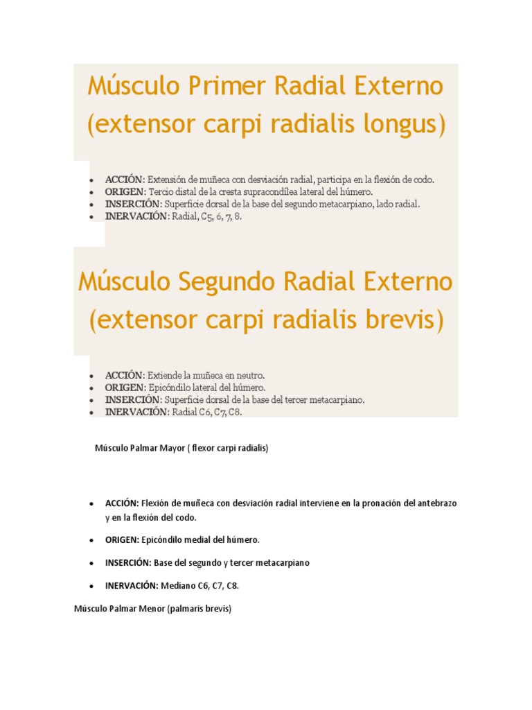 Músculo Primer Radial Externo | PDF | Ciencia y matemáticas