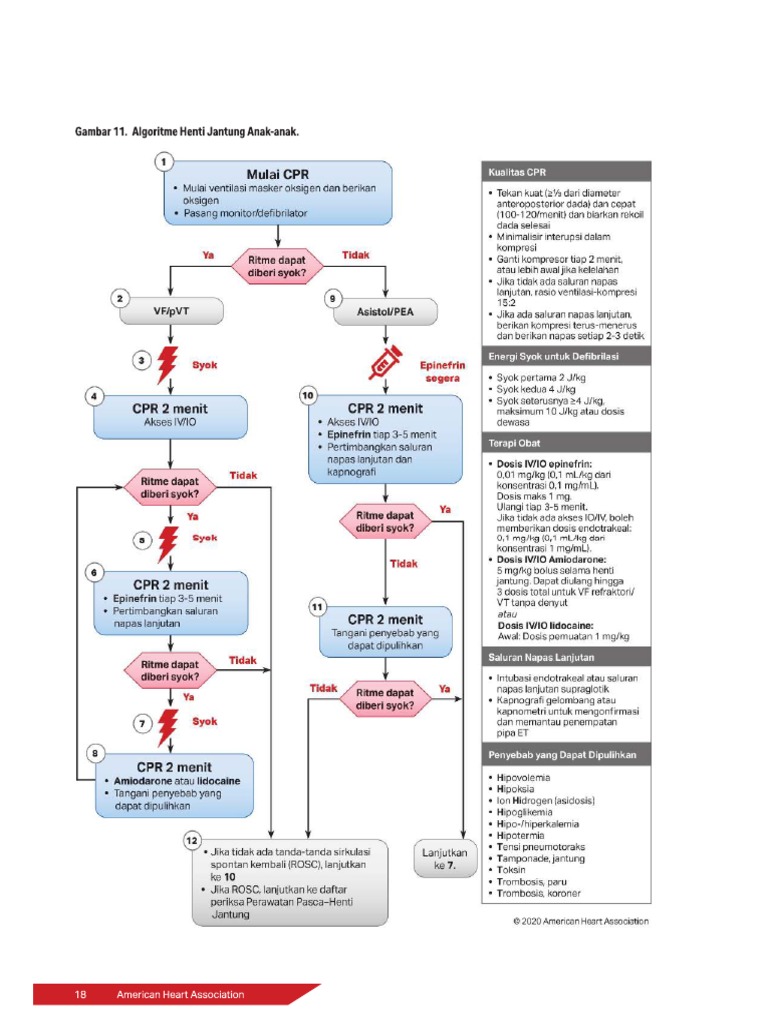 Algoritma Henti Jantung Anak | PDF