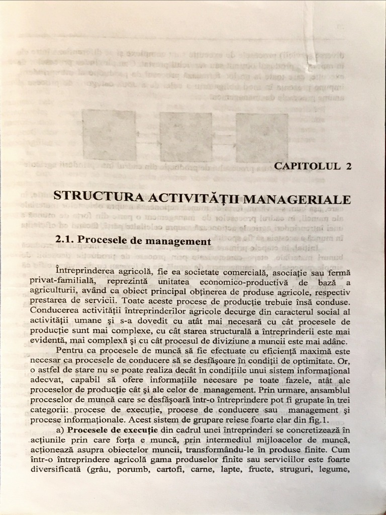 Structura Activitatii Manageriale | PDF