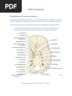Signo del Témpano y Fabela en Rodilla | PDF | Rodilla | Pie