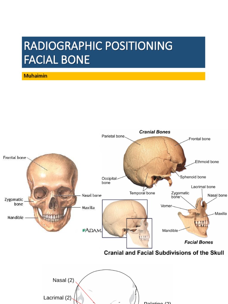 Radiographic Positioning Facial Bone | PDF