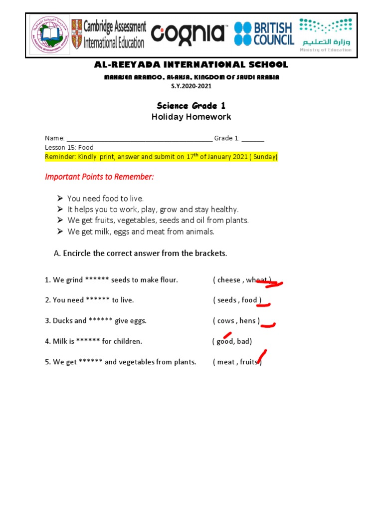Al-Reeyada International School: Science Grade 1 Holiday Homework | PDF ...