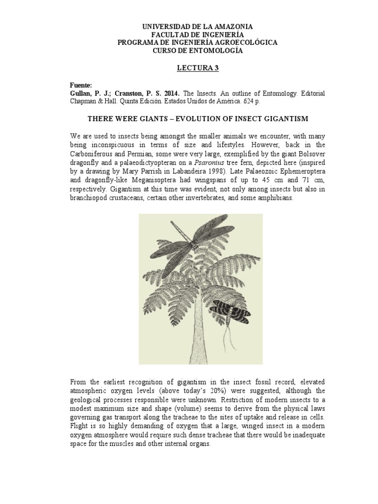 Anexo IX - LECTURA 3 There Were Giants - Evolution of Insect Gigantism ...