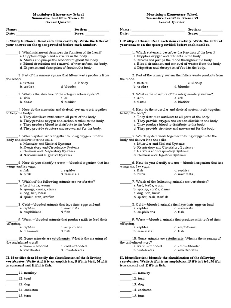 Summative Test on the Major Body Systems | PDF | Respiratory System ...
