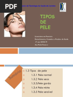 1 Tipos de Pele Aula 1 | PDF | Pele | Epiderme