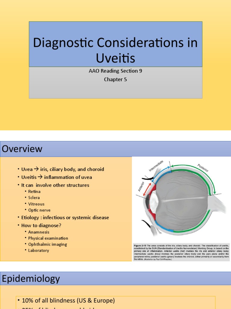 Diagnostic Considerations in Uveitis: AAO Reading Section 9 | PDF ...