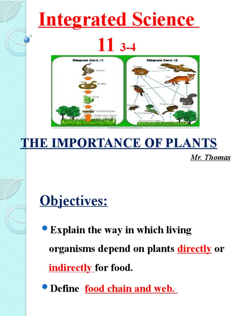Food Chain and Web Presentation | Download Free PDF | Food Web | Ecosystem