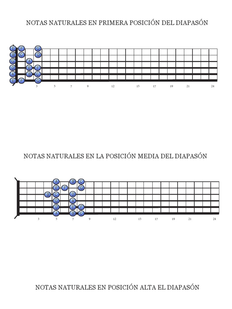Posiciónes Notas Naturales en El Diapasón | PDF