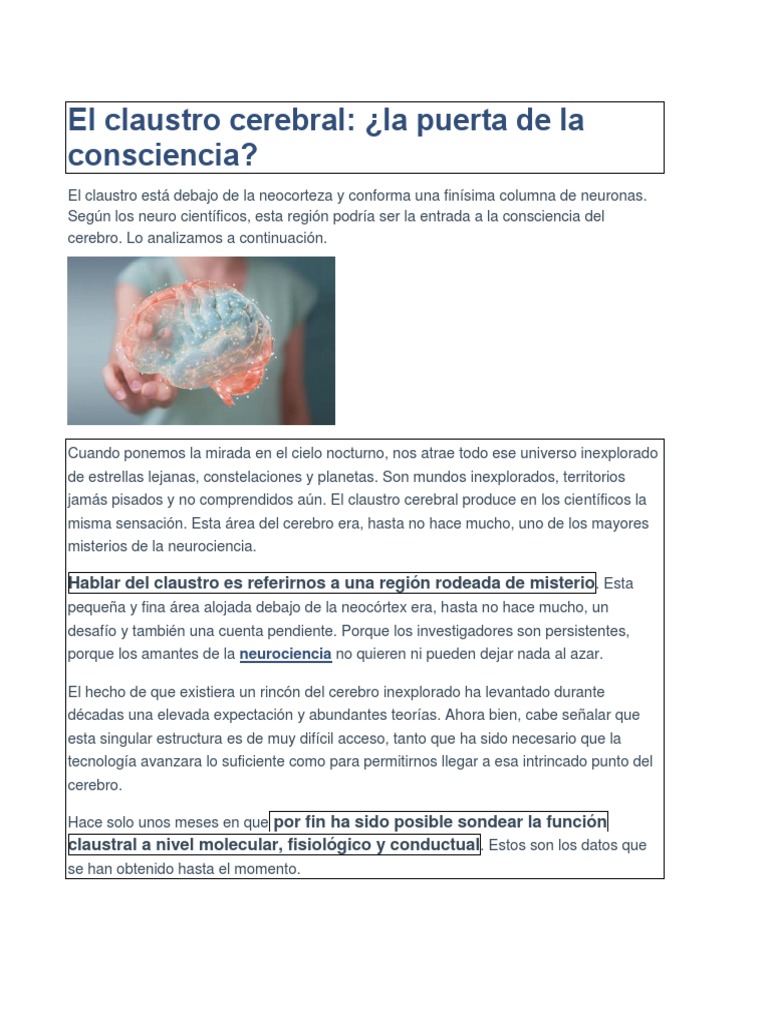 El Claustro Cerebral | PDF | Neocortex | Cerebro
