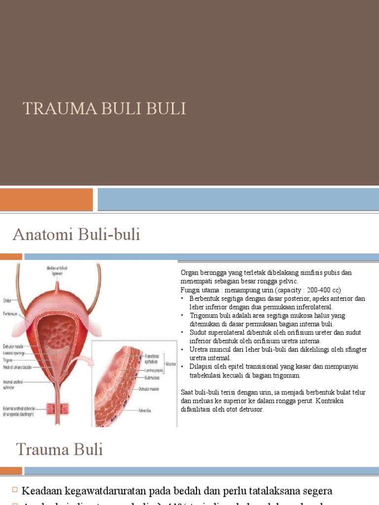 Trauma Buli Buli | PDF