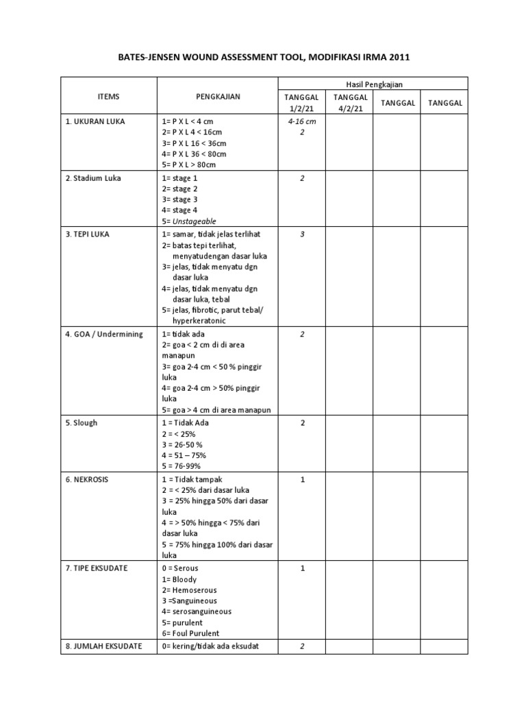 Bates-Jensen Wound Assessment Tool | PDF