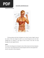 Blank 4 Panel Comic Strip | PDF | Biology | Digestive System