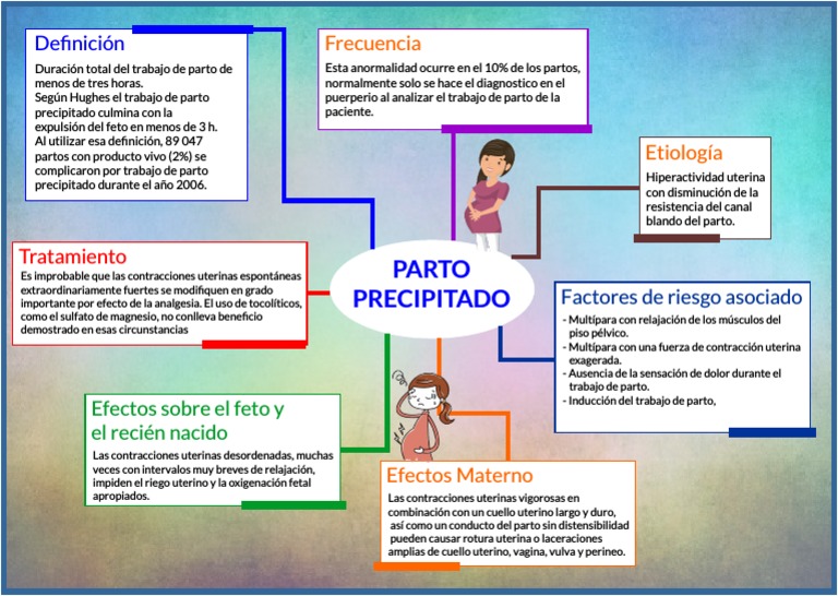 Parto Precipitado | PDF | Salud maternal | Parto