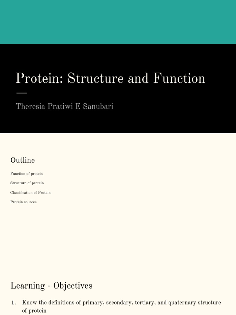 Protein - Structures and Functions | PDF | Protein Structure | Beta Sheet