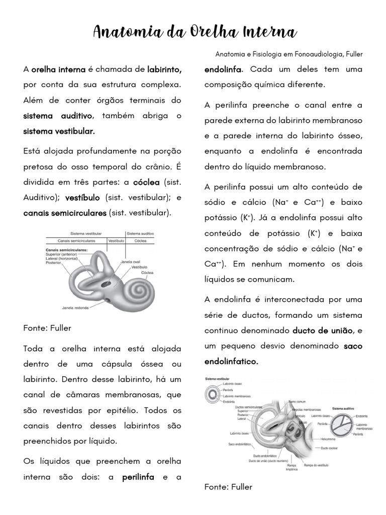 Anatomia Da Orelha Interna | PDF | Audição | Orelha
