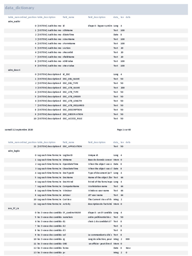 Data Dictionary | PDF | Business