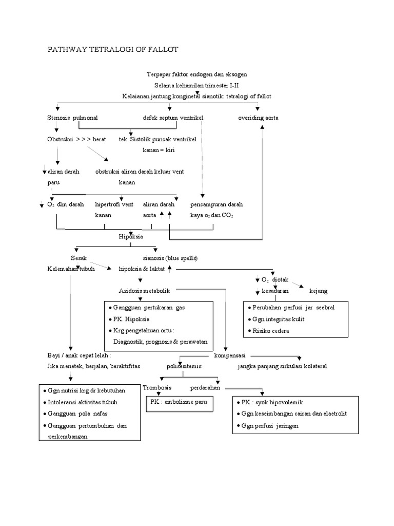 Pathway Tetralogi of Fallot | PDF
