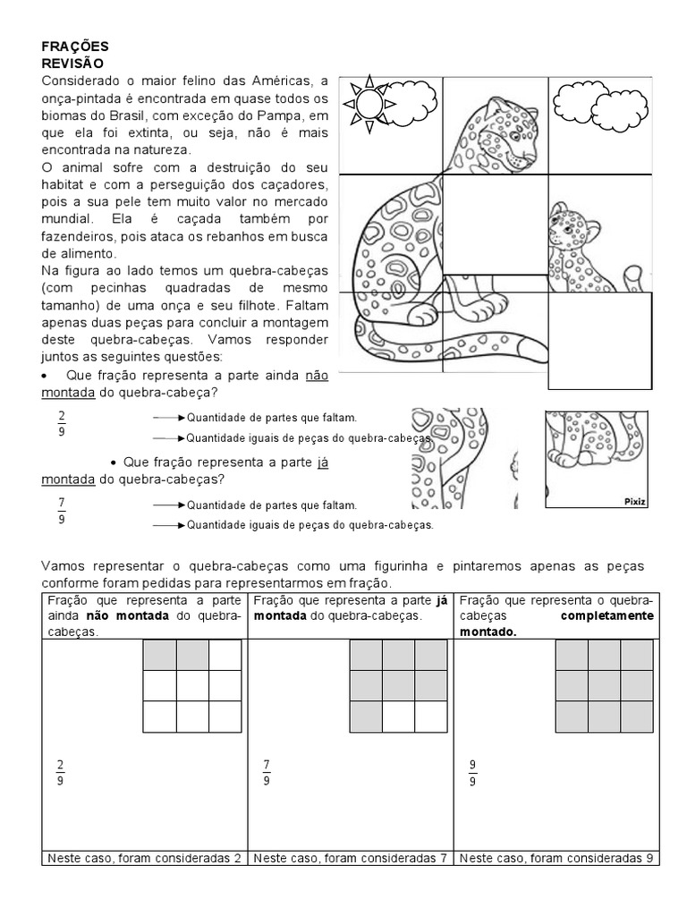 Matemática 7º Ano - Frações | PDF | Ensino de Matemática | Science