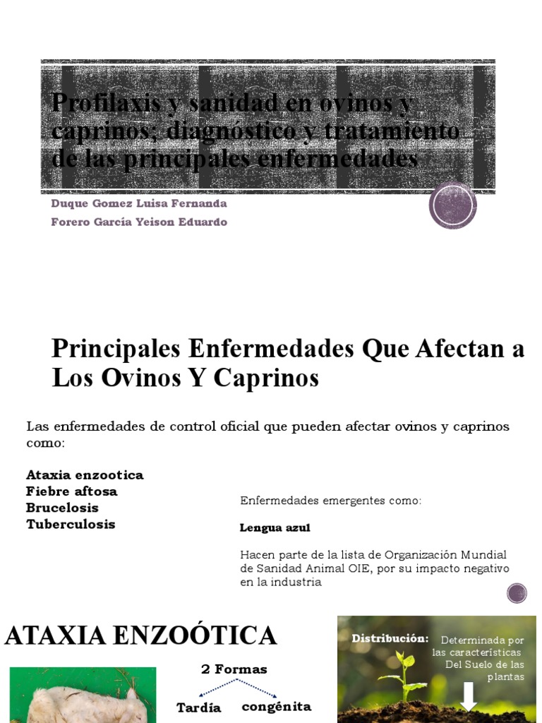 Profilaxis y Sanidad en Ovinos y Caprinos | PDF | Tuberculosis | Biología