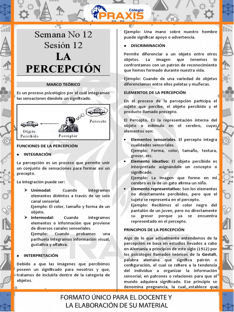 Sem 12 - DPCC - 1ro Sec | PDF | Percepción | Sicología