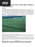 Proceso Productivo de la Yerba Mate | PDF | Semilla | Siembra