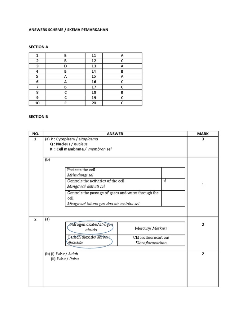 Answers Scheme / Skema Pemarkahan: Q: Nucleus / Nucleus | PDF | Sperm | Respiratory System