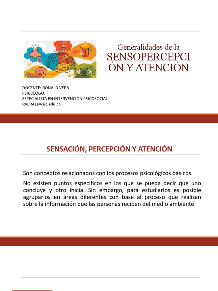 2 Clase Generalidades Sensopercepción | PDF | Sentidos | Percepción