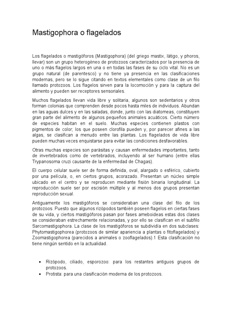 Mastigophora o Flagelados | PDF | Eucariotas | Organismos