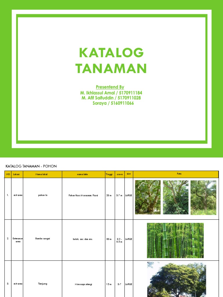Katalog Tanaman | PDF | Griya & Taman