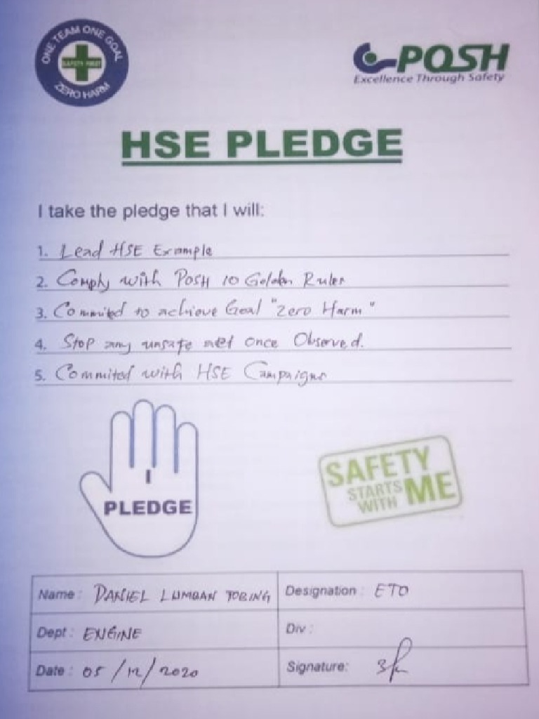Hse Pledge | PDF