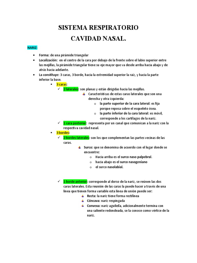 Anatomía y función del sistema respiratorio nasal | PDF | Rasgos ...