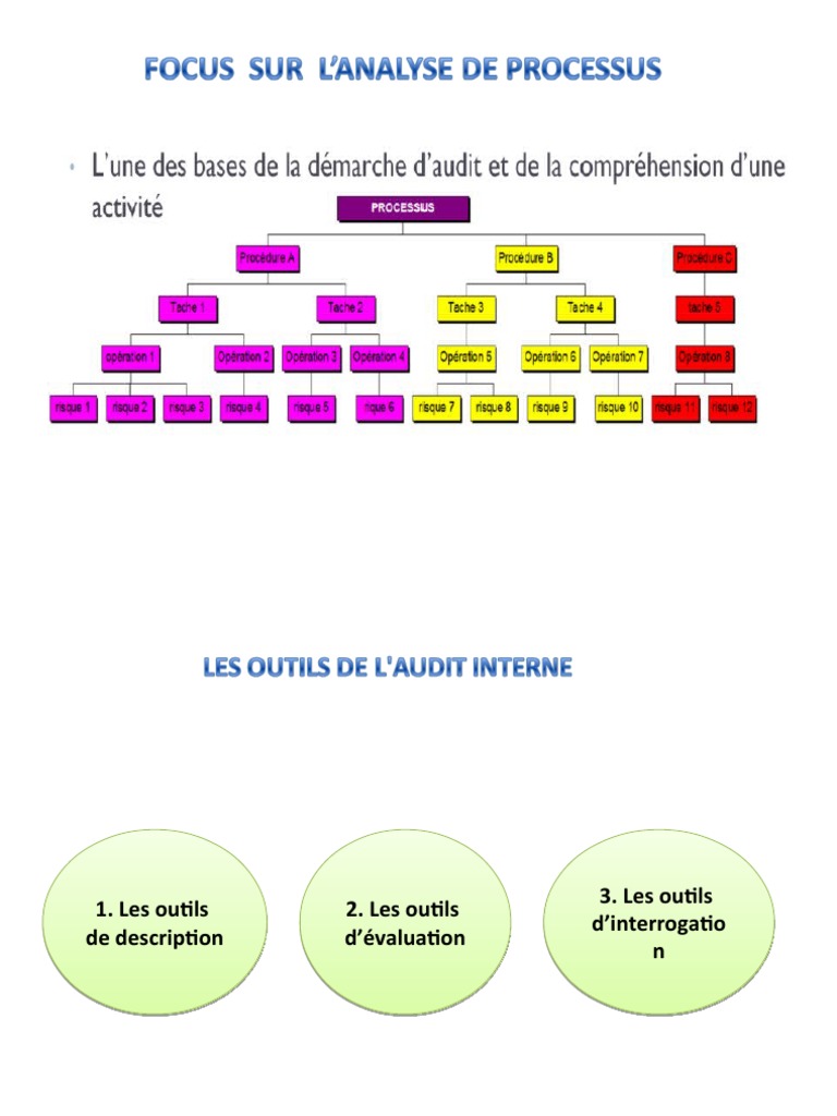 Audit Frap | PDF | Contrôle interne | Audit