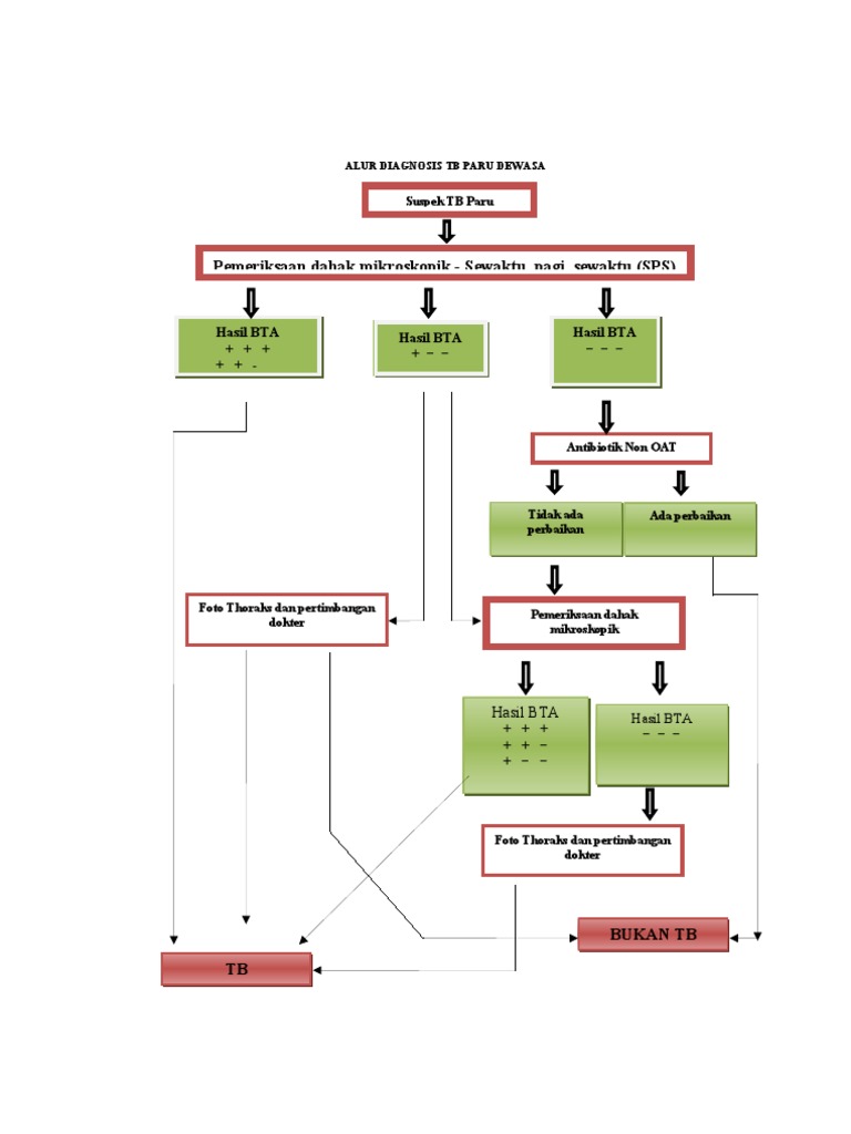 Alur Diagnosis TB Paru Dewasa Resing | PDF