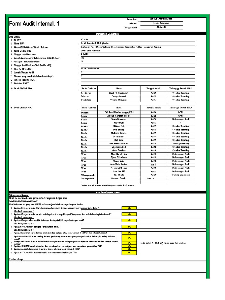 Form Internal Audit PPA IO-619 | PDF