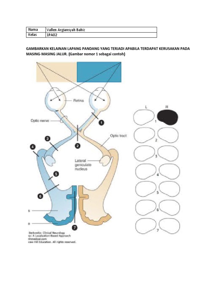 Tugas Sistem Visual 2 | PDF