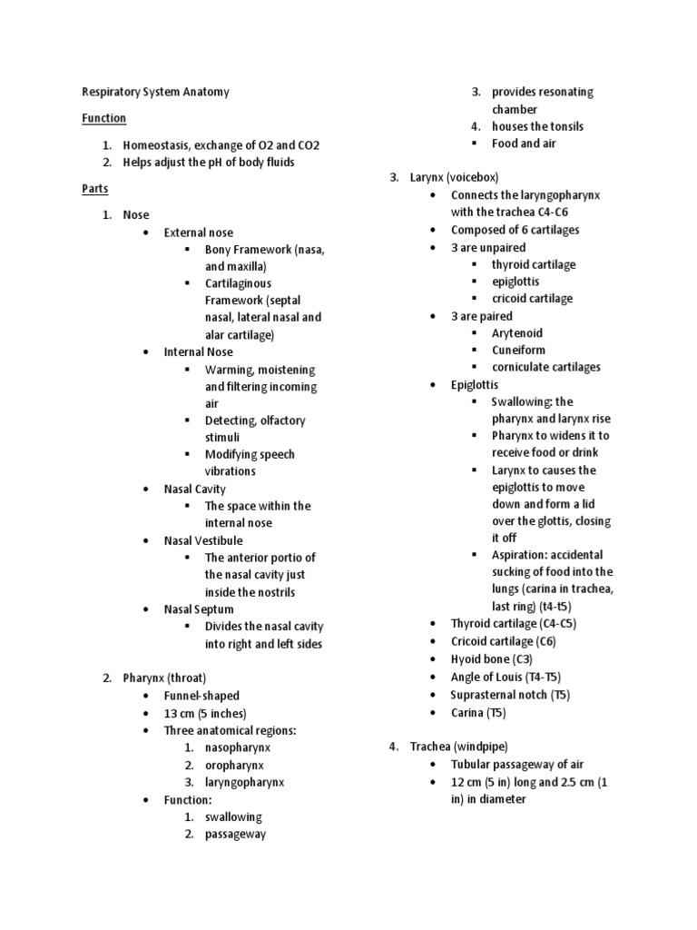 Respiratory System Anatomy Notes | PDF | Human Nose | Lung