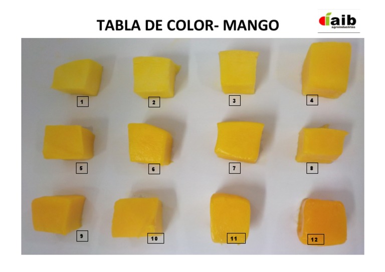 Tabla de Color - Mango v1 | PDF