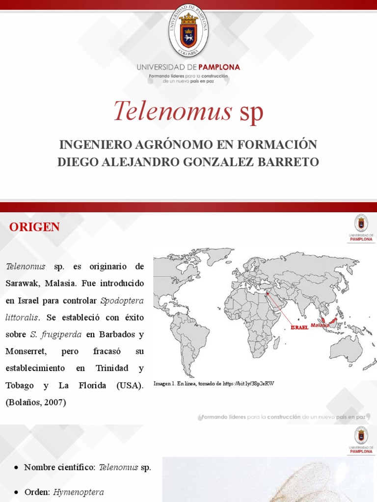 Telenomus SP | PDF | Huevo | Insectos