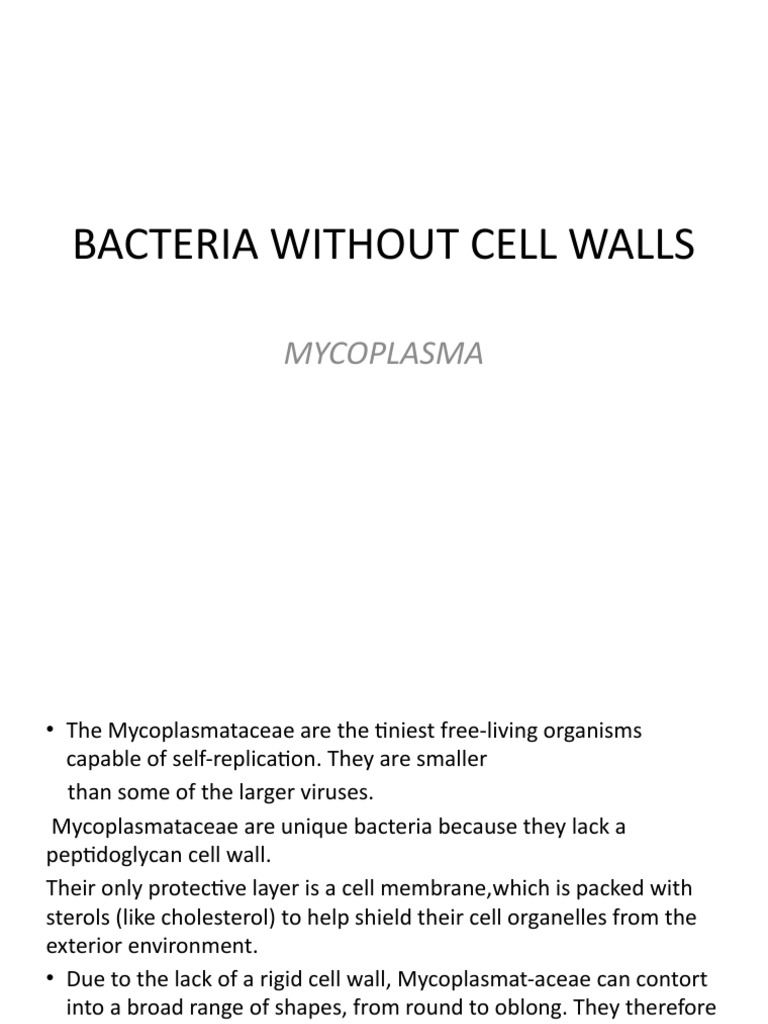 Bacteria Without Cell Walls | PDF | Mycoplasma | Pneumonia