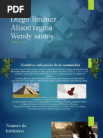 Técnicas Agrícolas de la Cultura Maya | PDF