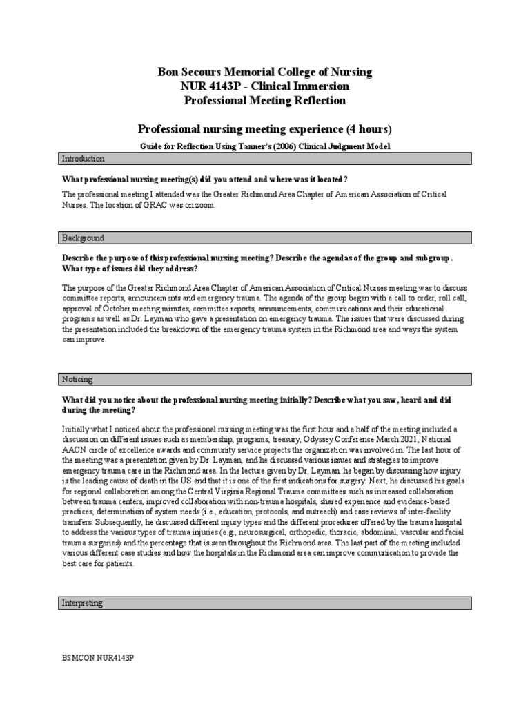 Professional Meeting Reflection - Grac | PDF | Hospital | Evidence ...
