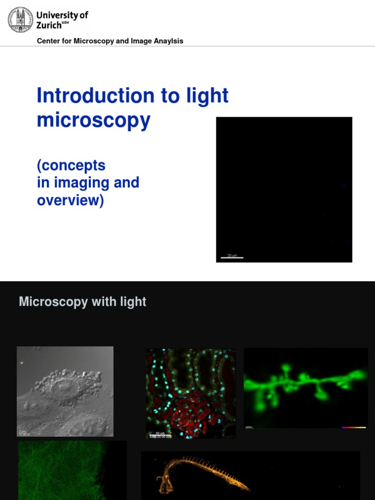 Introduction To Light Micros | PDF | Confocal Microscopy | Microscopy