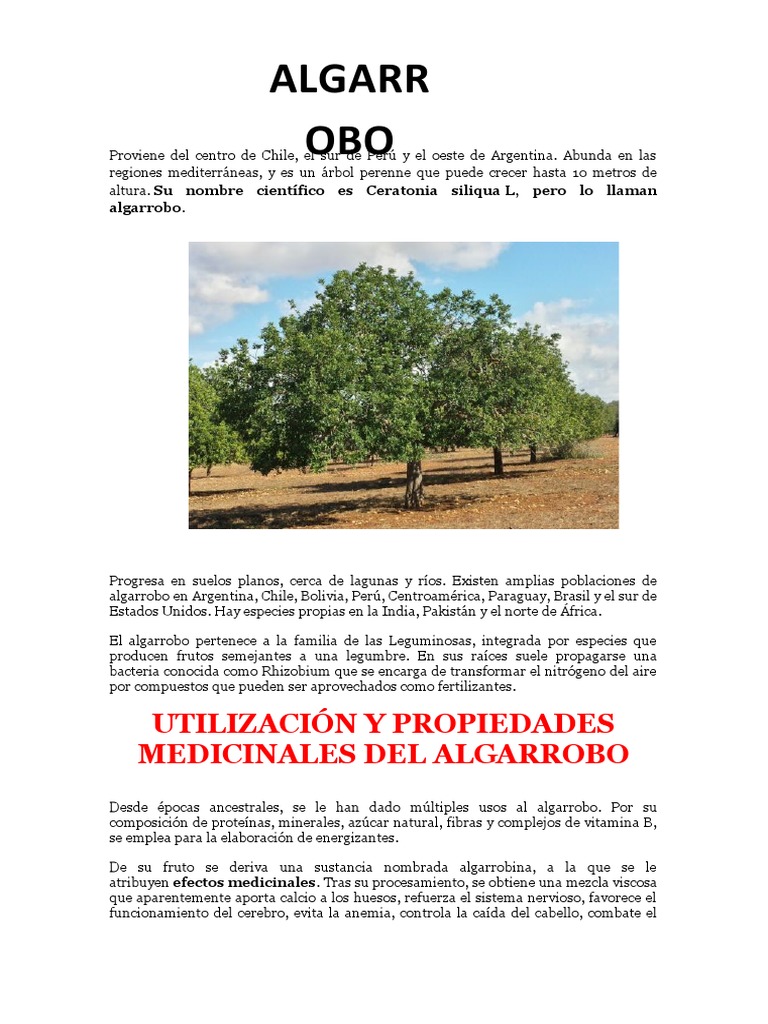 Algar Robo | PDF | Plantas | Naturaleza