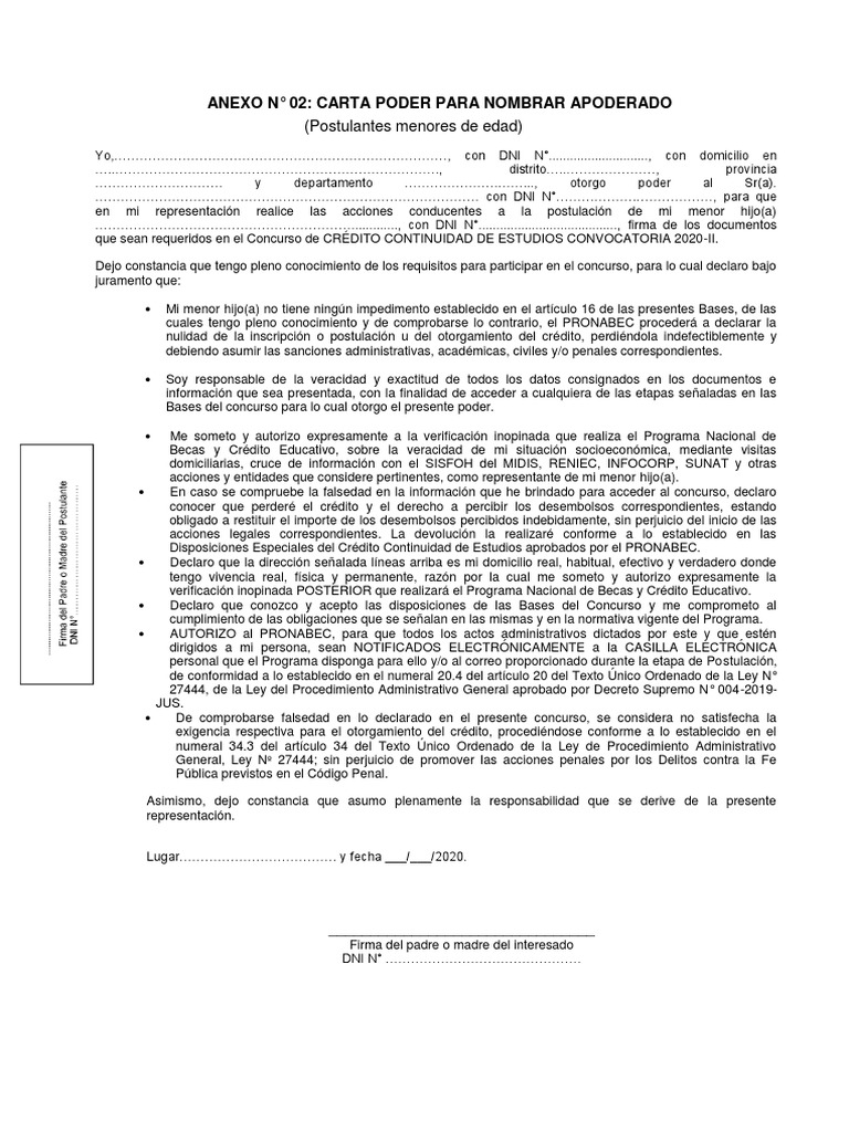 Anexo #02: Carta Poder para Nombrar Apoderado | PDF | Justicia | Crimen ...