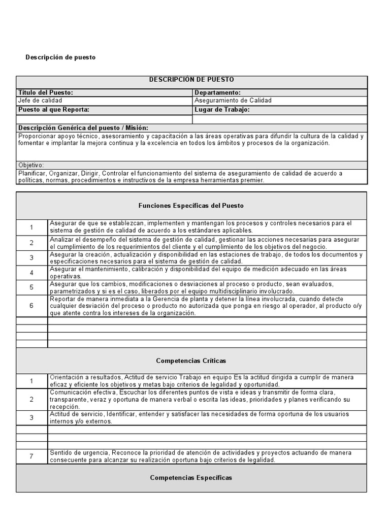 Descripción de Puesto Formato Ejemplo | PDF