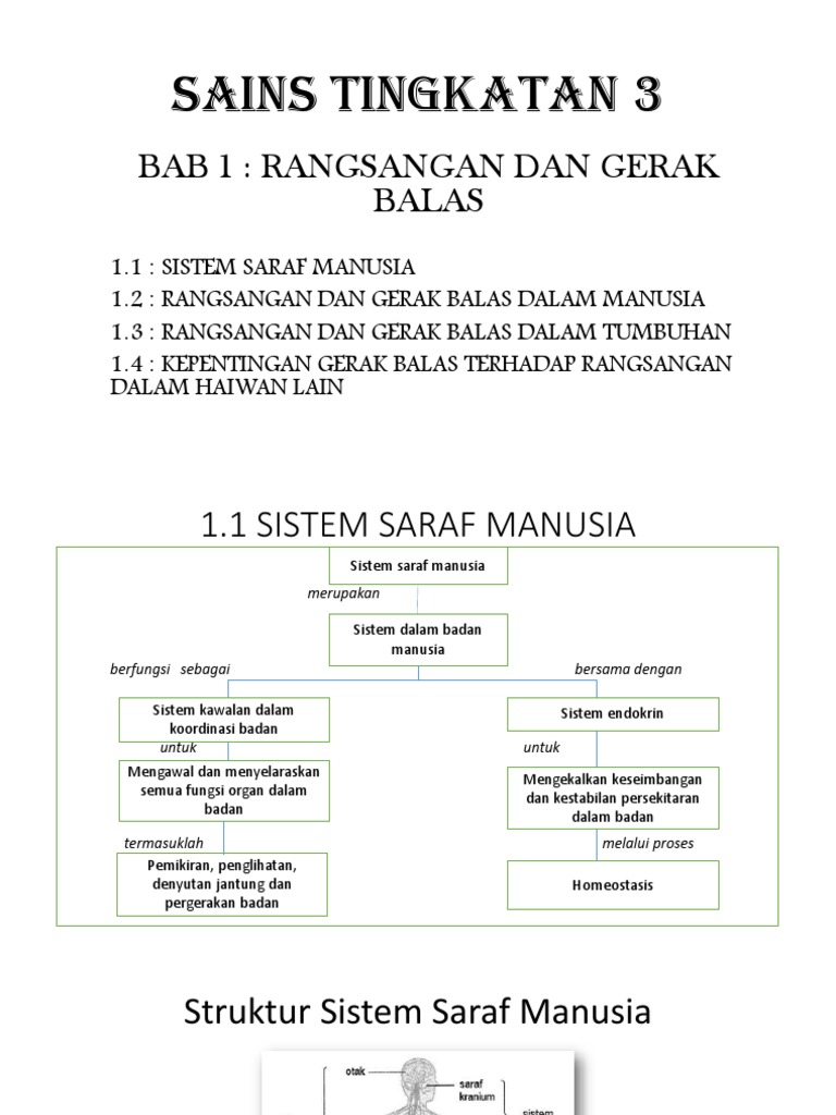 Sains Tingkatan 3 Rangsangan Dan Gerak Balas Pdf